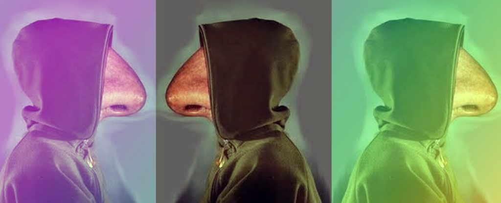 un tamaño que no concibo.